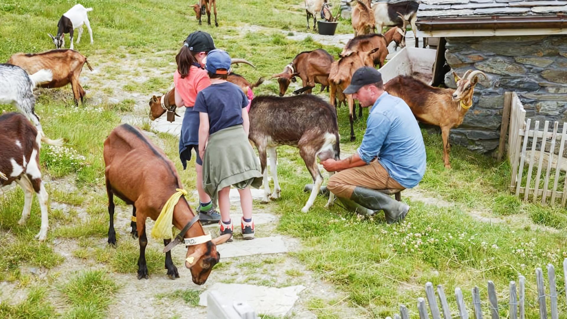 The Little Farmers | Les Menuires